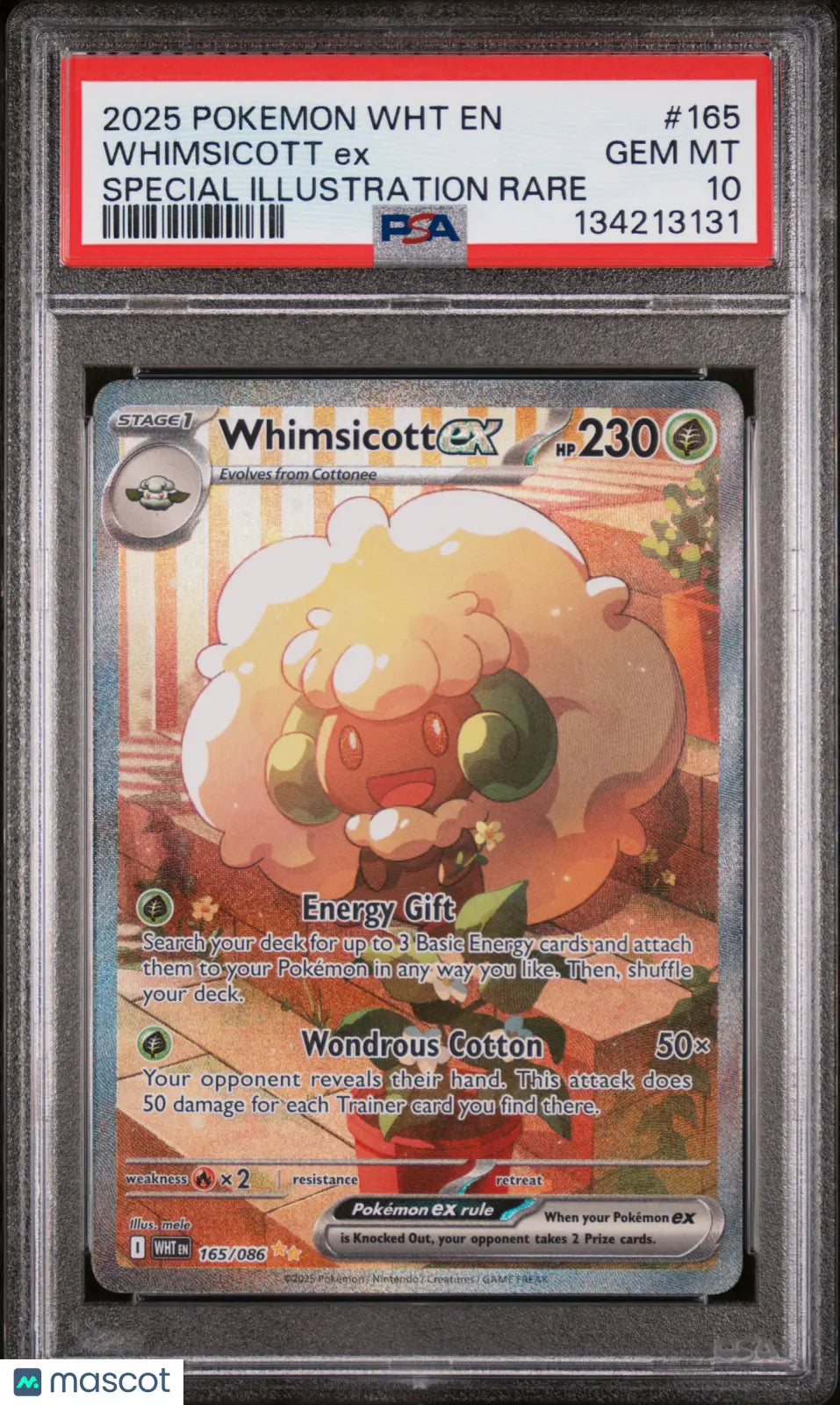 Whimsicott EX Special Illustration Rare PSA 10 165/086 2025 WHT EN Whi
